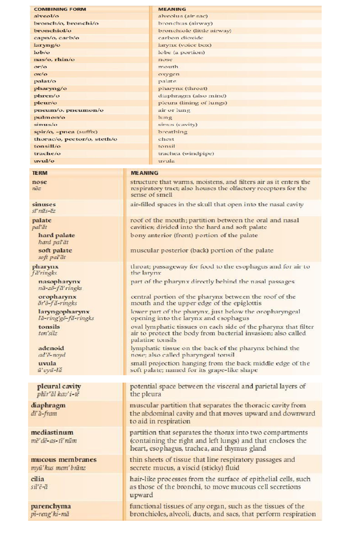 medical terminologies for respiratory sysytem - Medical Surgical ...