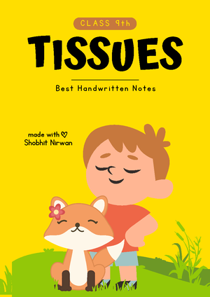 Science Year 5 Transition Booklet 2024-25 - Year 5 Science Revision ...