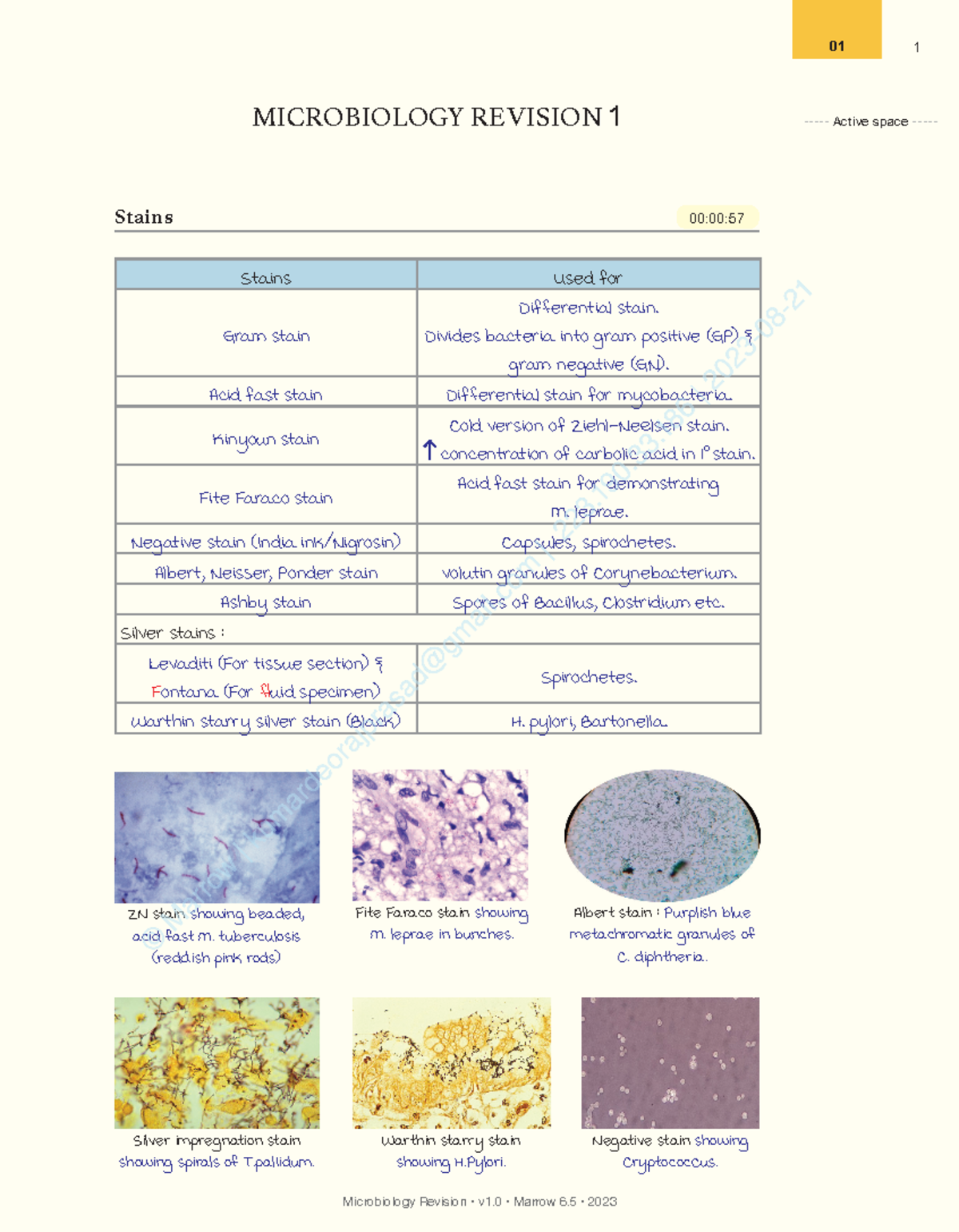 Microbiology Revision E6 - Divides bacteria into gram positive (GP ...
