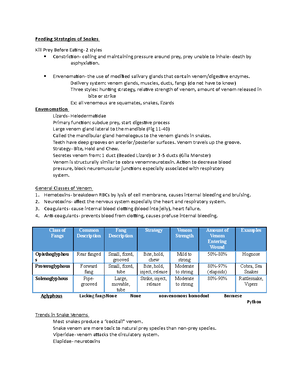 X Concept Map Lizards - Lizard taxonomy - Taxonomy of Sauropsida Family ...