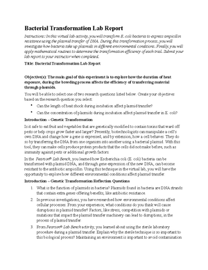 08 01 fruit fly lab report - Fruit Fly Lab Report Instructions: In this ...
