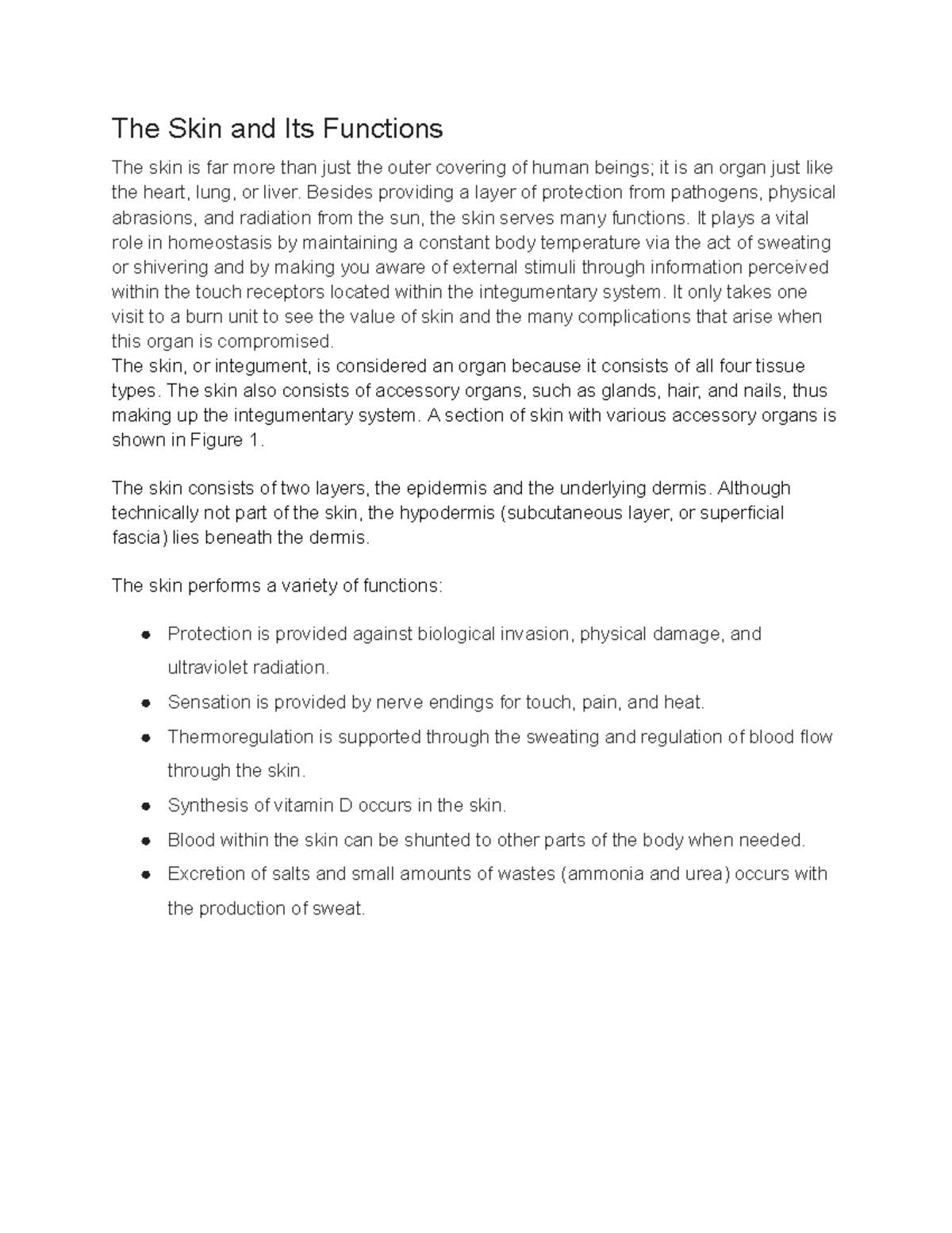 The Skin and Its Functions - Besides providing a layer of protection ...