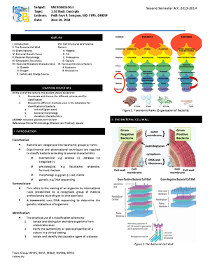 Perdev Modular A4 - Module development - PERSONAL Development M O D U L ...