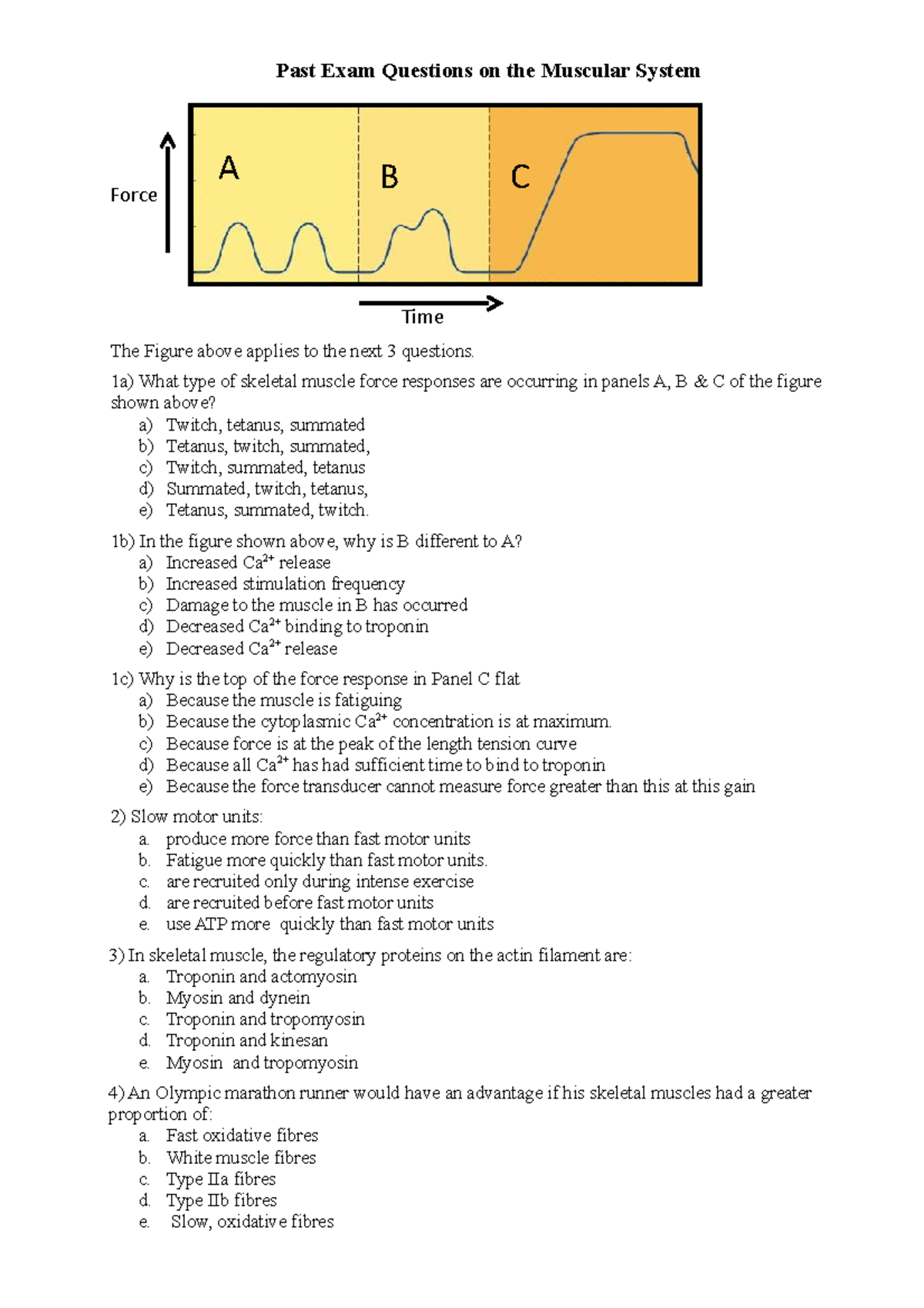 Past Exam questions no answers Muscular System - Past Exam Questions on ...