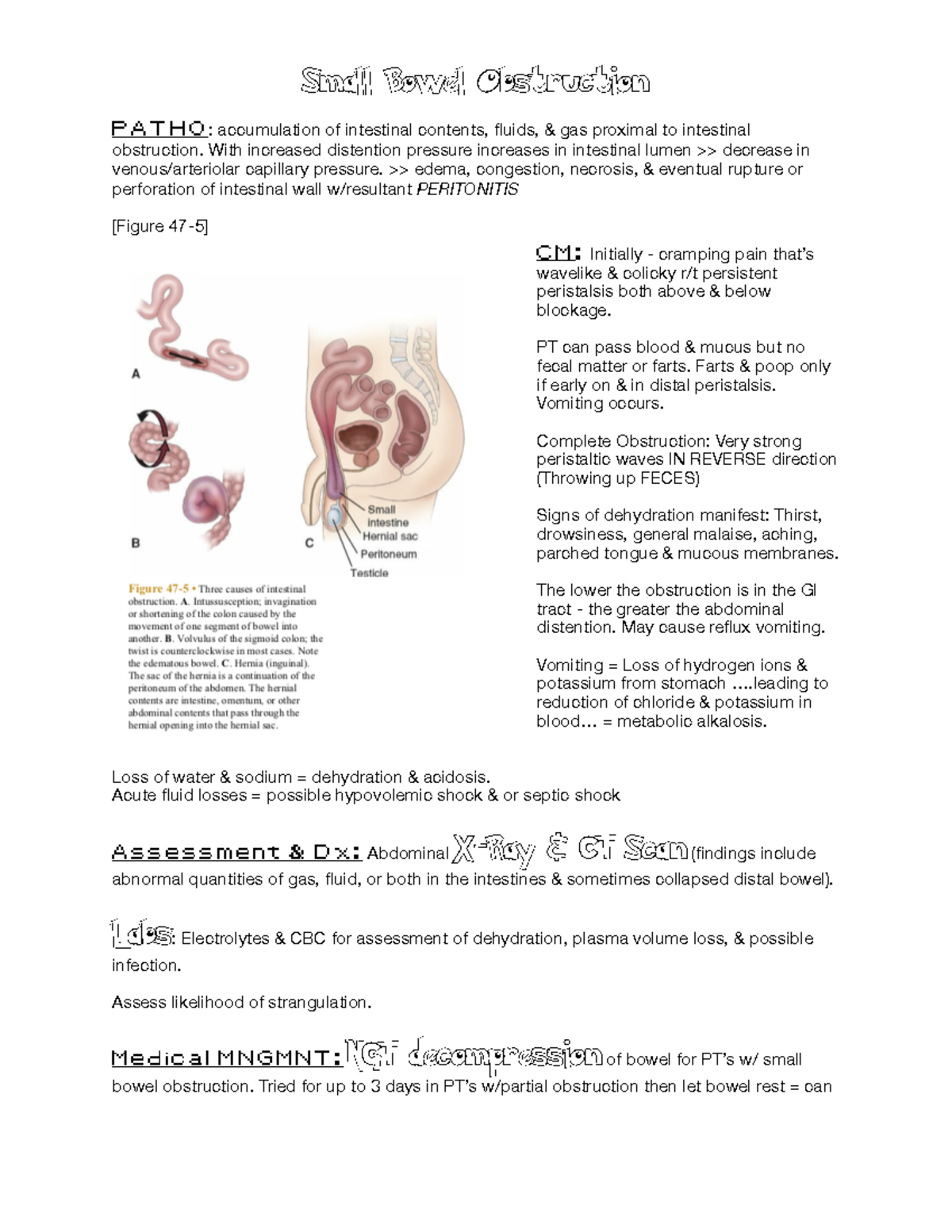 Small Bowel Obstruction - Small Bowel Obstruction PATHO: accumulation ...