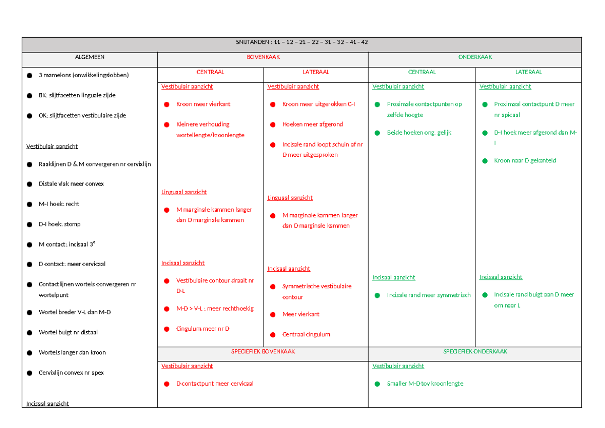 Morfo overzicht aspecten tanden - SNIJTANDEN : 11 – 12 – 21 – 22 – 31 ...