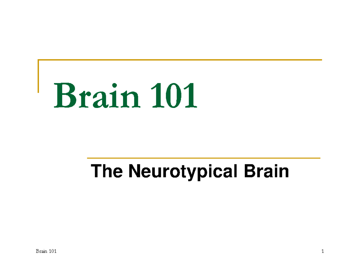 TBI Trng-Module 1-Brain 101Answer Key - Brain 101 The Neurotypical ...