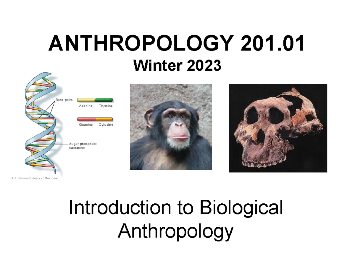 January 10 Lecture Slides - Anthropology 201 - UCalgary - Studocu