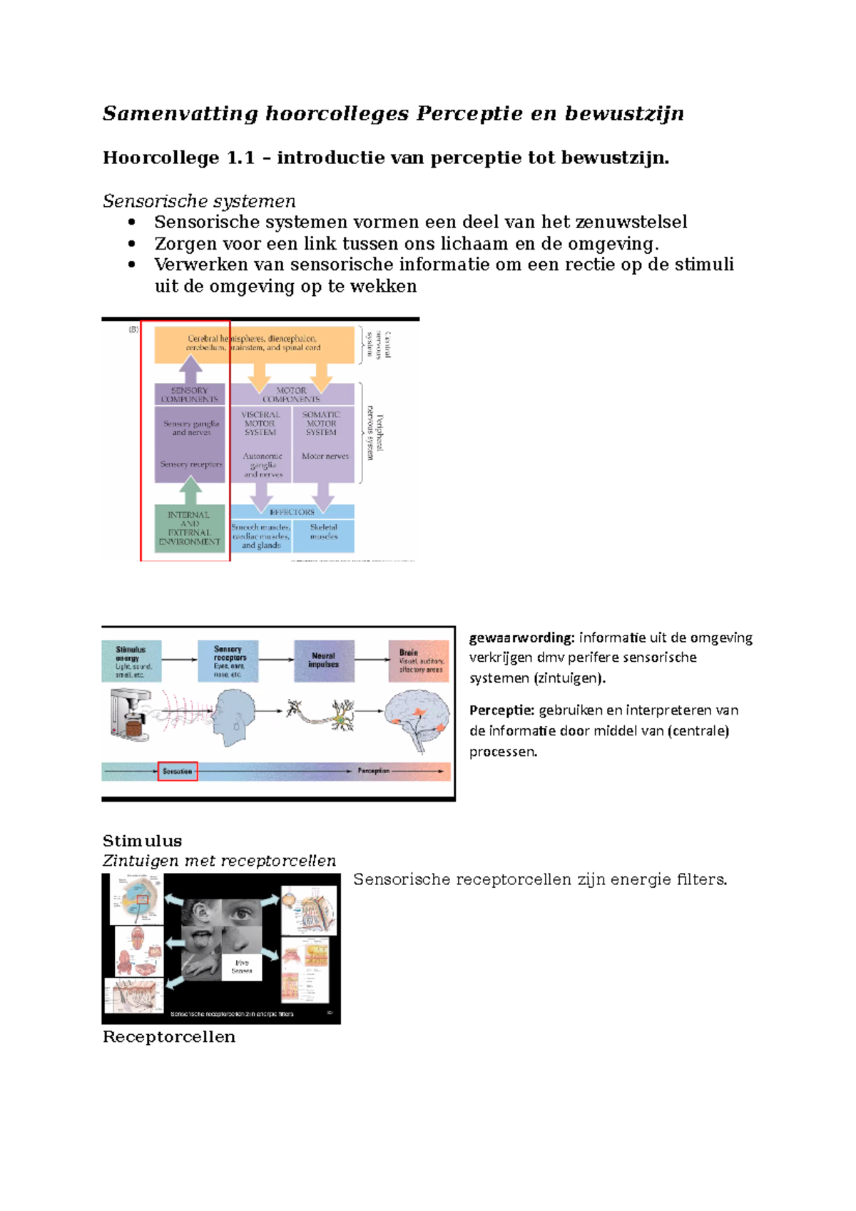 Samenvatting hoorcolleges Perceptie en bewustzijn - Samenvatting ...