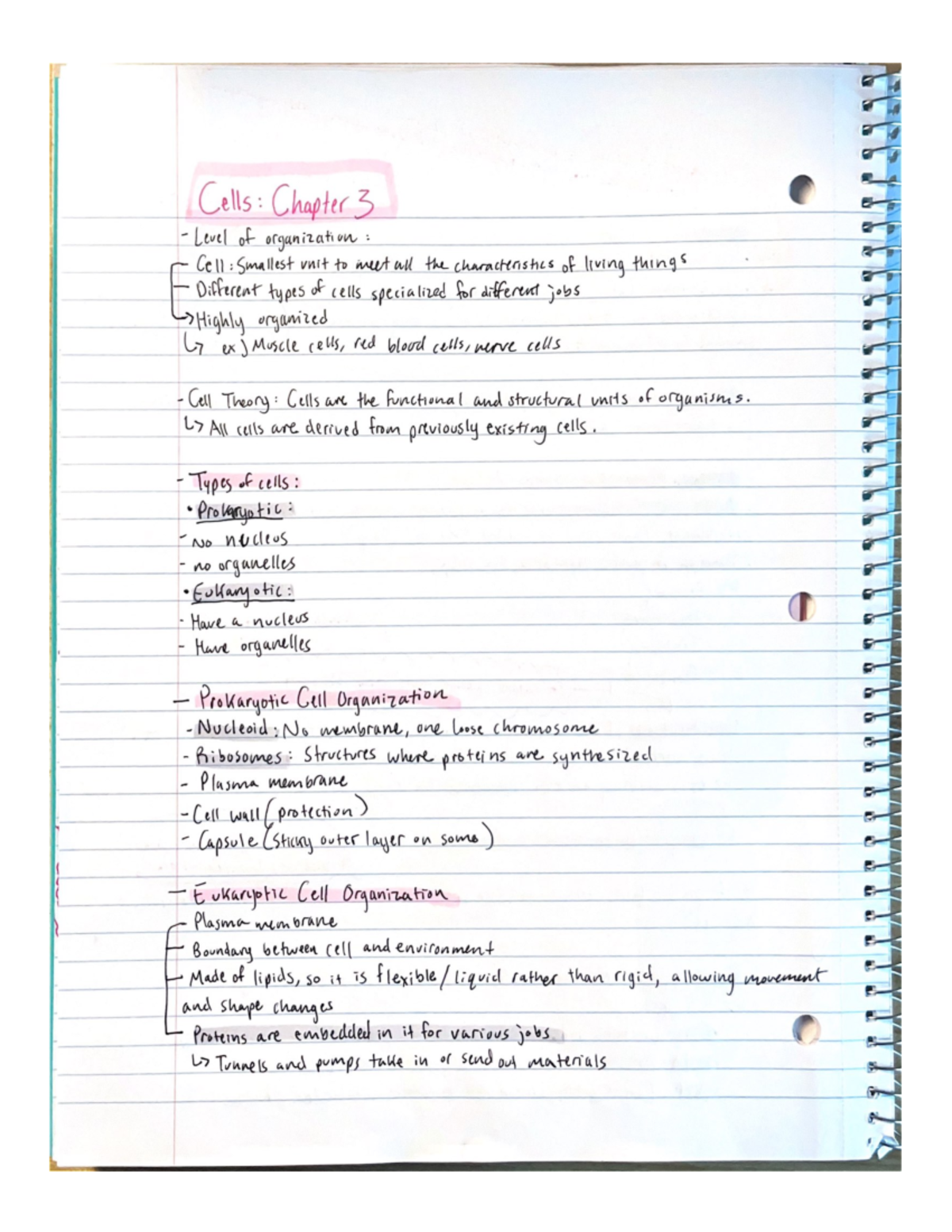 Cells Chapter 3 - BIO 1308 Lecture notes - BIOL 1308 - Studocu