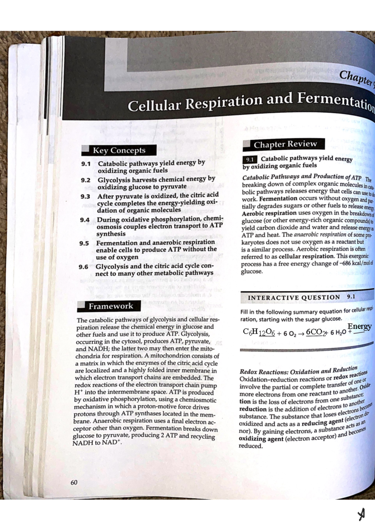 Chapter 9 study Guide - BIOL 101 - Studocu