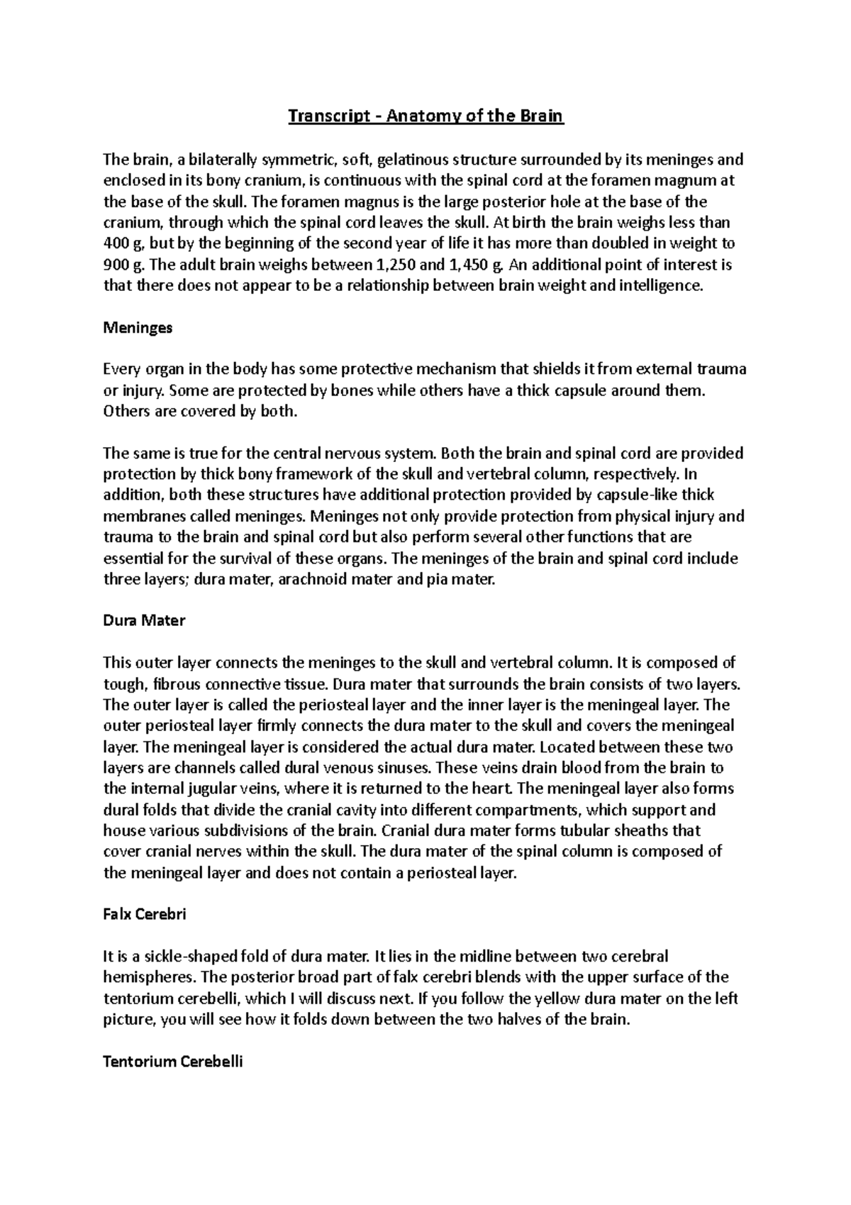 Tutorial transcript - anatomy focused - Transcript - Anatomy of the ...