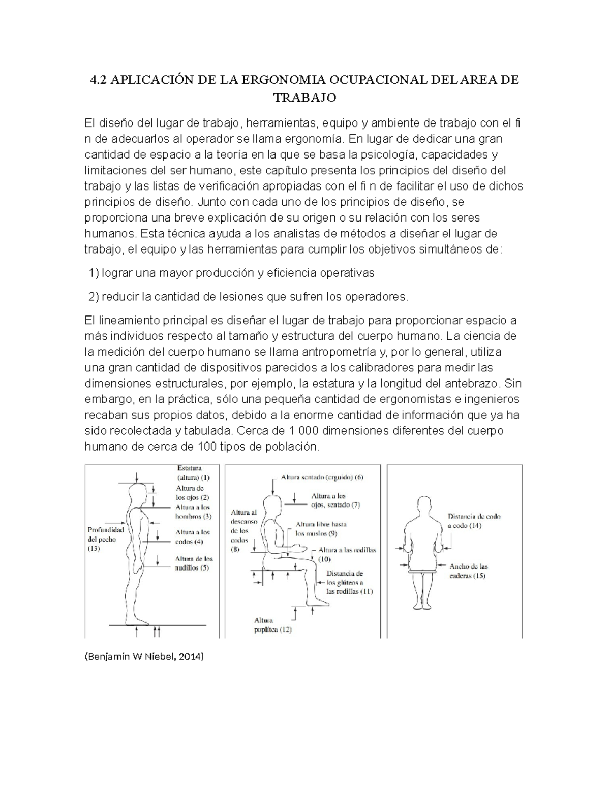 4.2 APLICACIÓN DE LA ERGONOMIA OCUPACIONAL DEL AREA DE TRABAJO - 4 ...