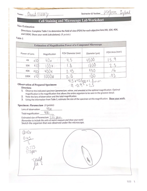 Cell Membrane Structure and Permeability Lab Report - Ella Zimmerman ...