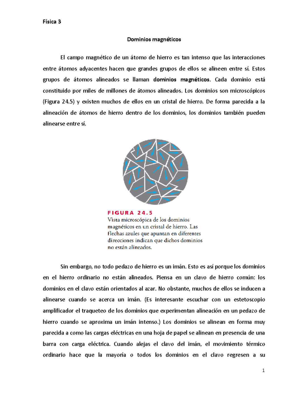 Física 3 - Dominios magnéticos - Física 3 1 Dominios magnéticos El ...