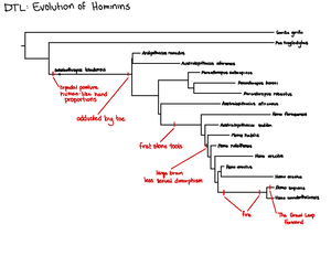Biology 1620 Study Sheet - Exam 1 Material - EXAM 1 MATERIAL ...