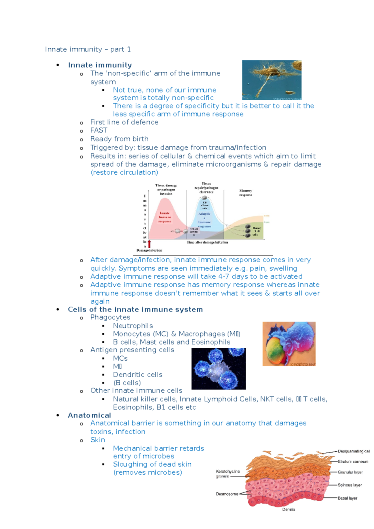Innate immunity – part 1 - Innate immunity – part 1 Innate immunity o ...