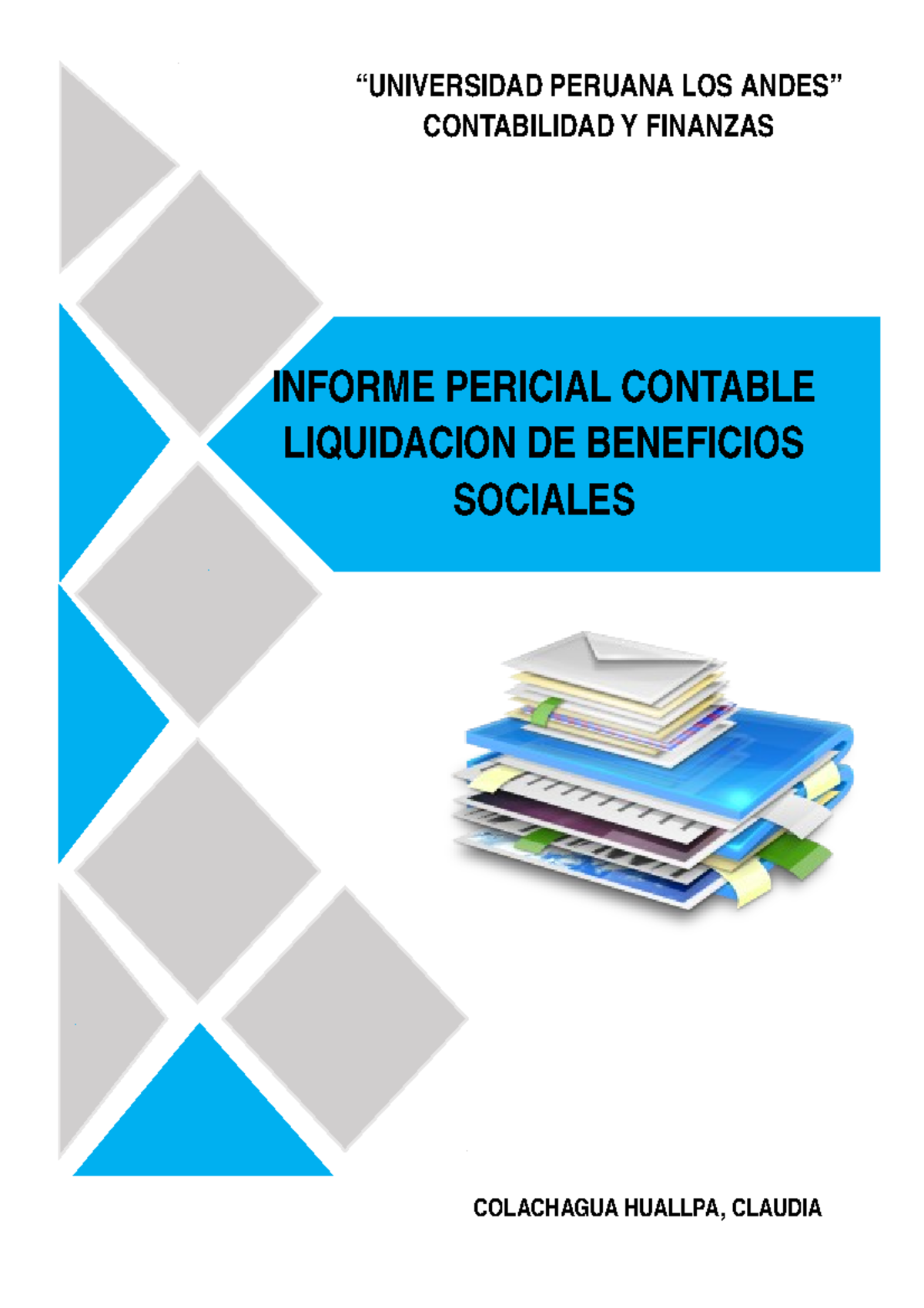 Informe Pericial - LBS - PERUANA LOS CONTABILIDAD Y FINANZAS INFORME ...