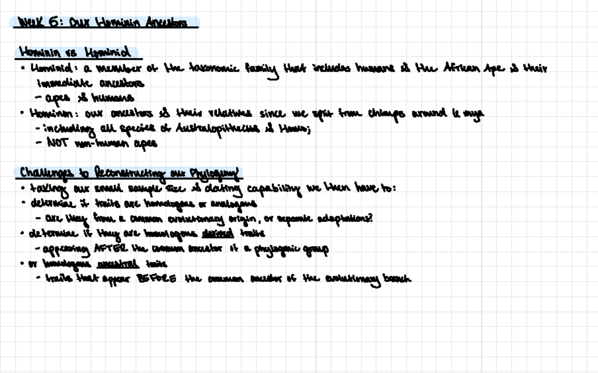 Week 5 Our Hominin Ancestors - Week 5 : Our Hominin Ancestors Hominin ...