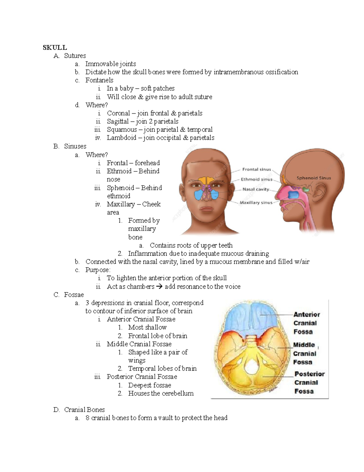 Skull Final - SKULL A. Sutures a. Immovable joints b. Dictate how the ...