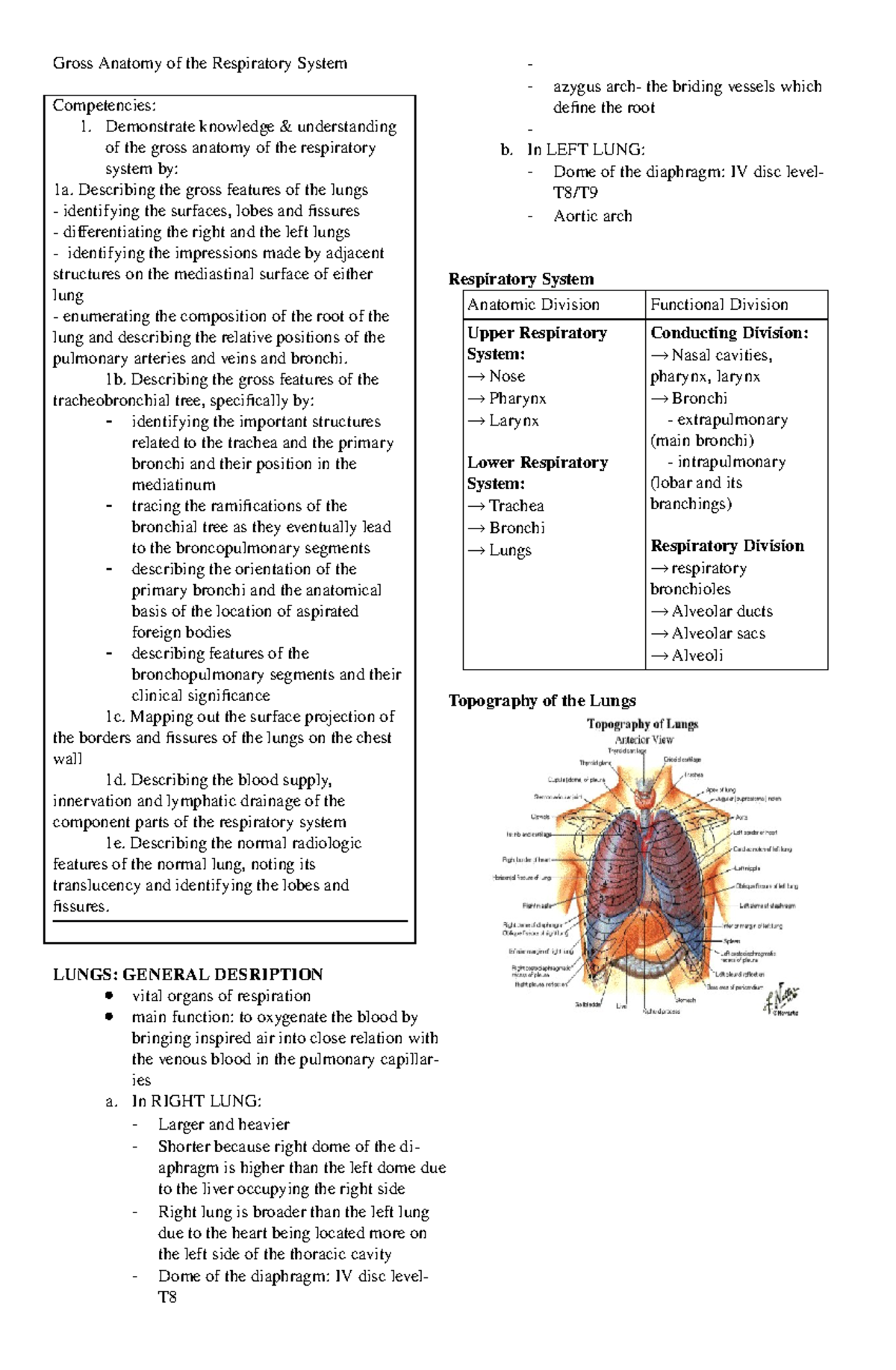 Anatomy respiratory gross - Gross Anatomy of the Respiratory System ...