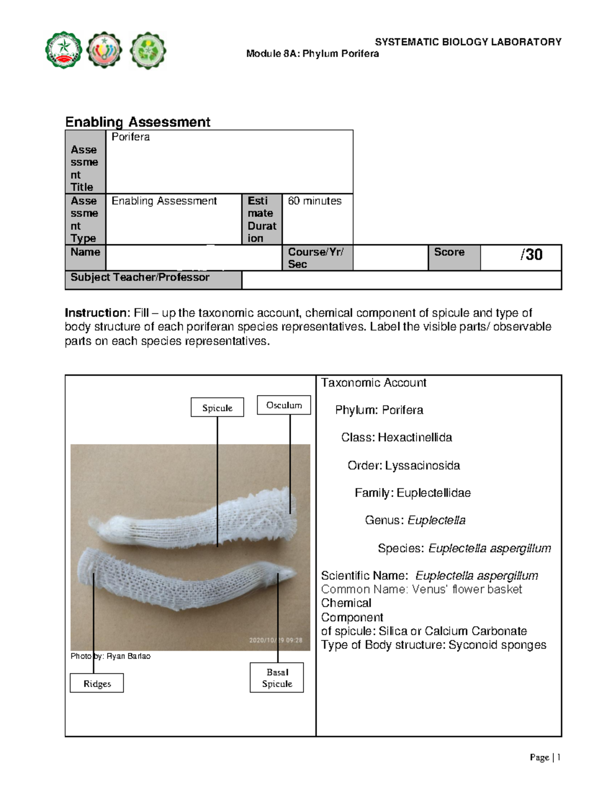 Porifera Enabling Assessment - SYSTEMATIC BIOLOGY LABORATORY Module 8A ...