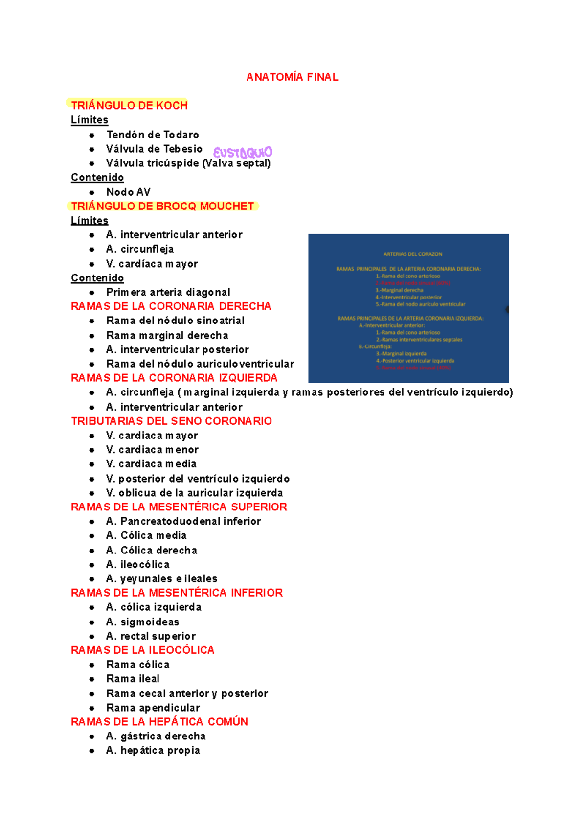 Anato Final Fijas 2 - ANATOMÍA FINAL TRIÁNGULO DE KOCH Límites Tendón ...