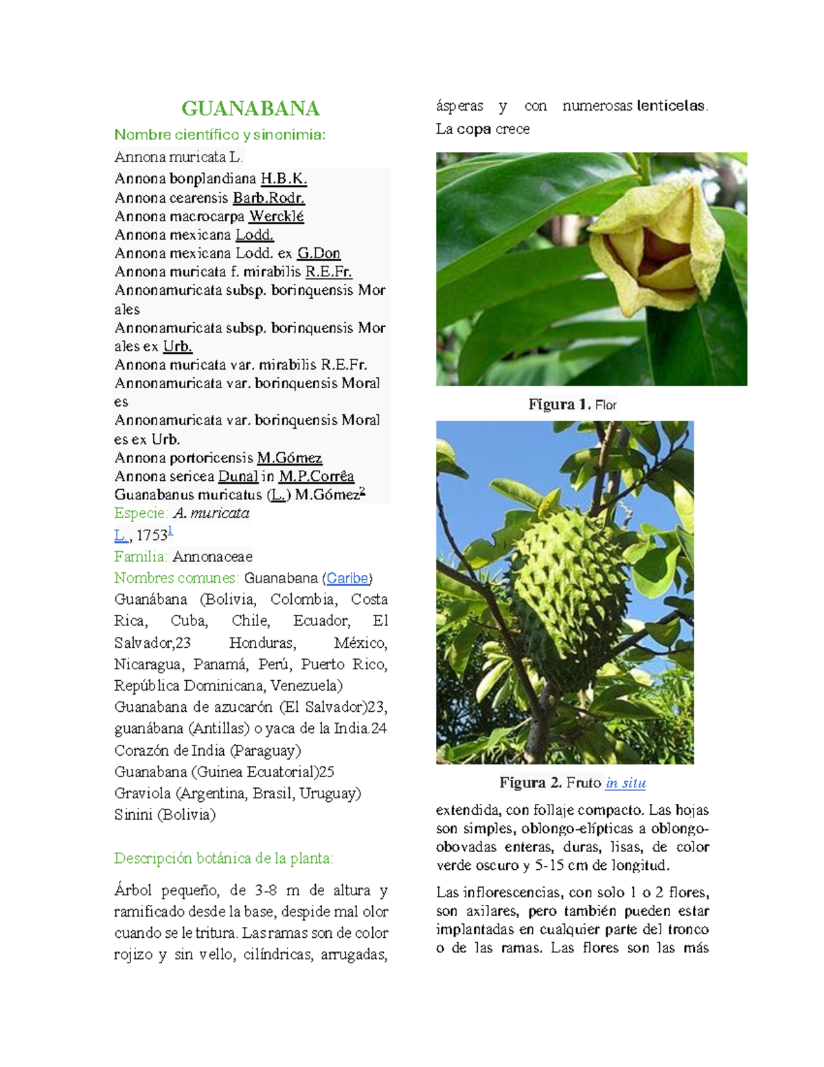 Guanabana - proyecto de aula - GUANABANA Nombre científico y sinonimia ...