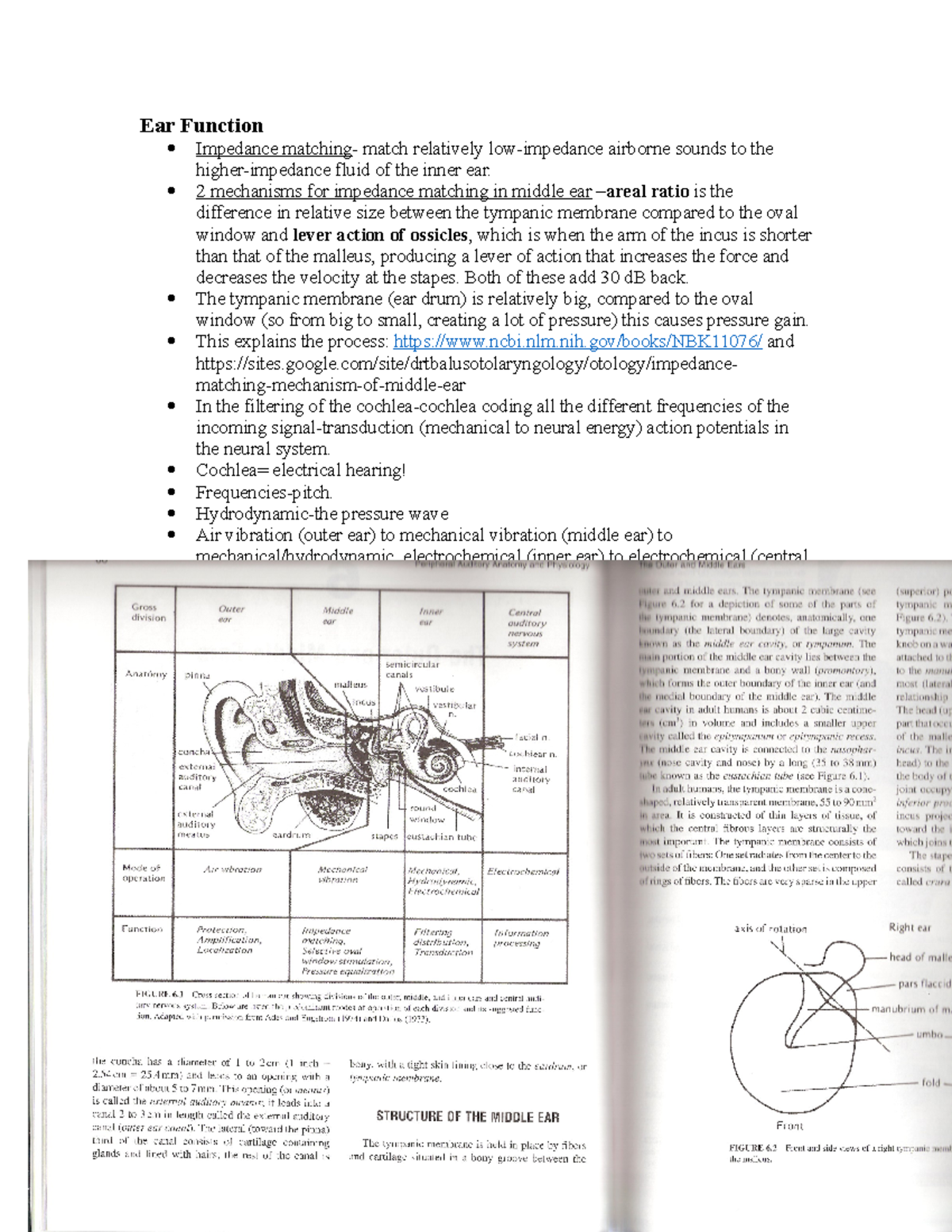Overview of ear function - Ear Function Impedance matching- match - Studocu