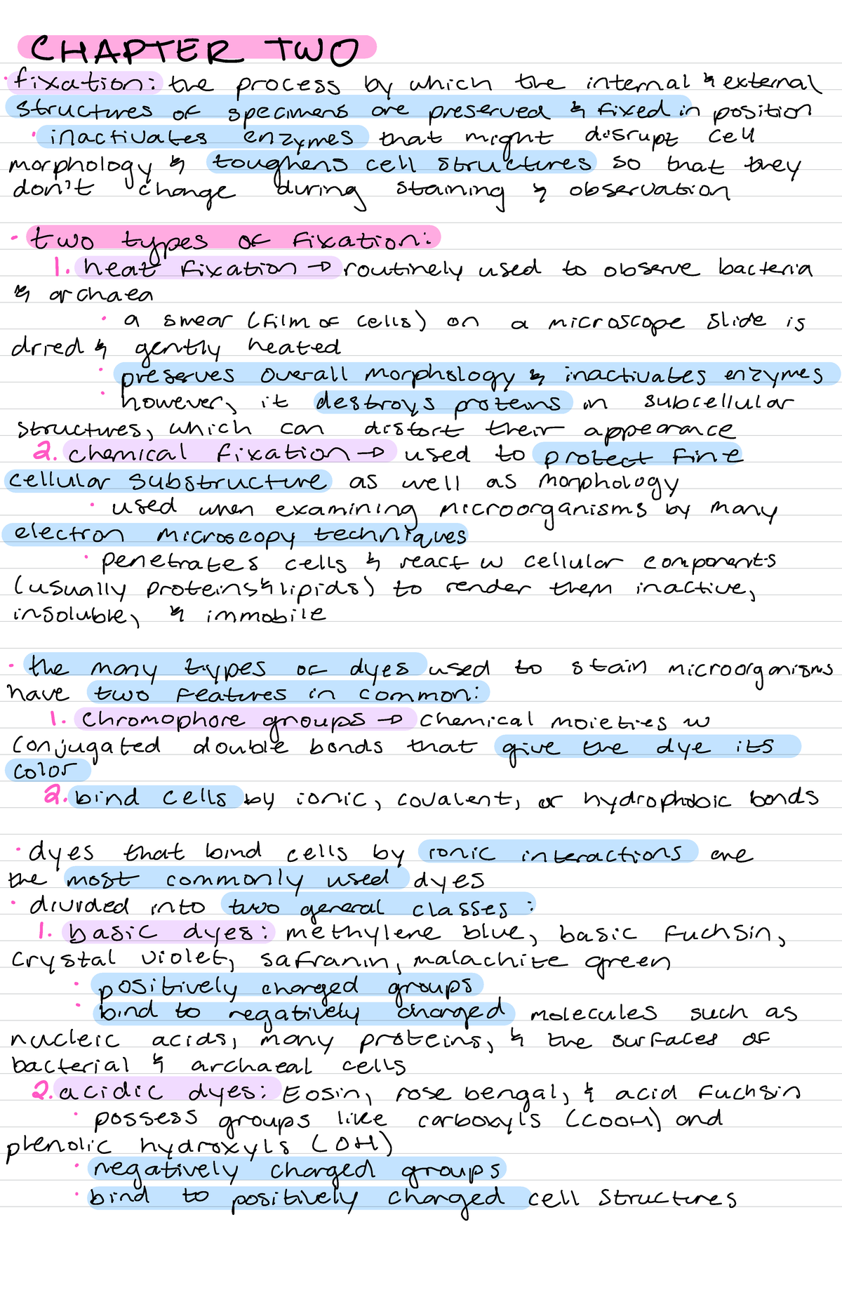 Chapter 2 Textbook Notes - CHAPTER TWO fixation:the process by which ...
