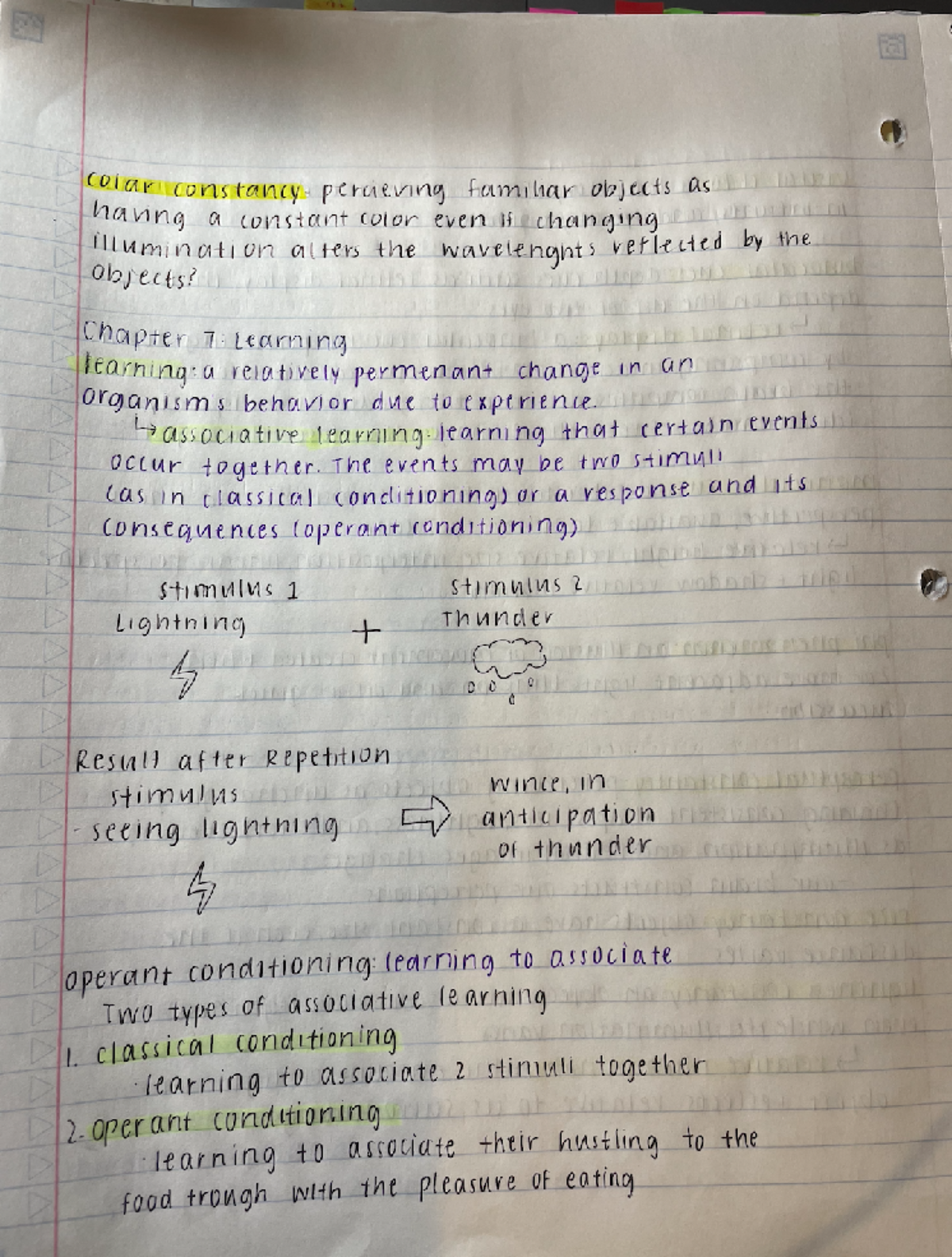 AP Psychology Learning Notes - Studocu
