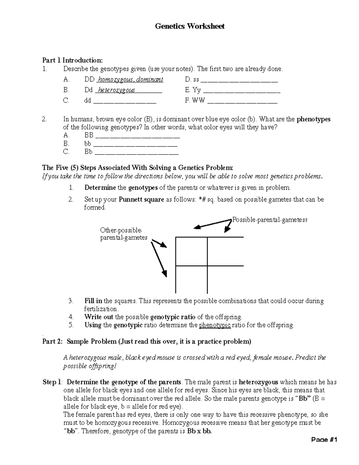 Punnett square worksheet - Genetics Worksheet Part 1 Introduction ...