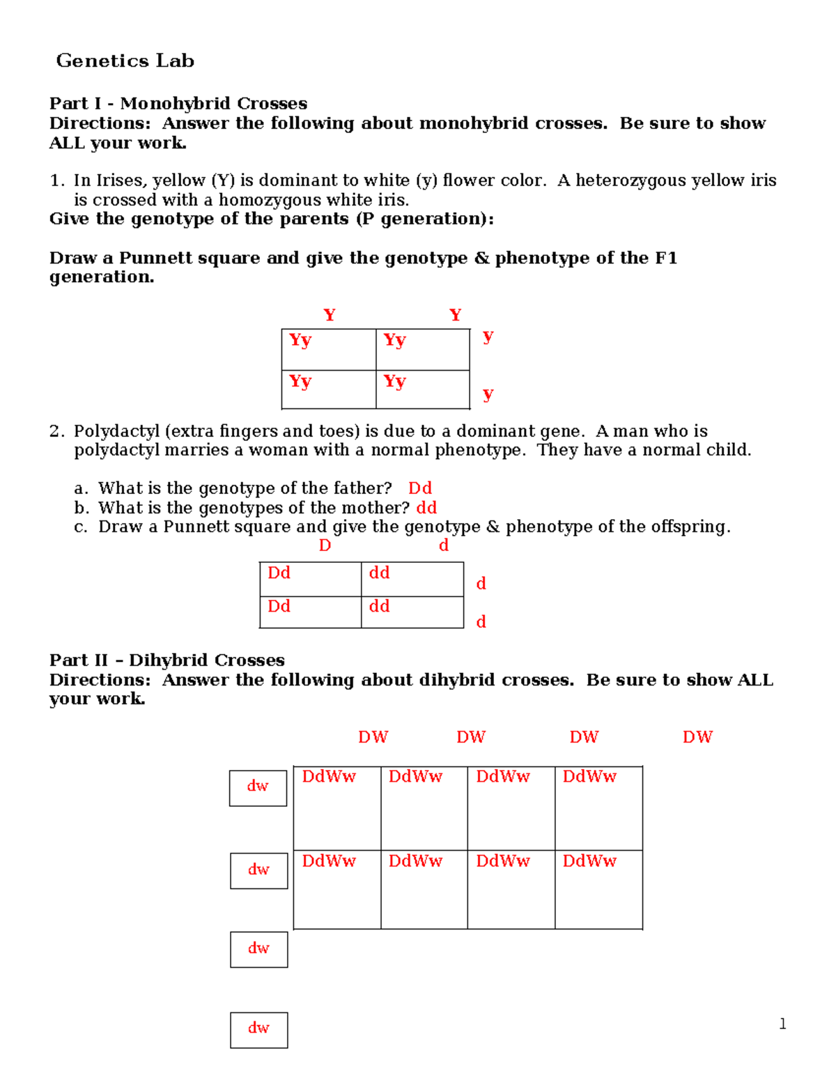 Genetics Lab Worksheet 2 - Genetics Lab Part I - Monohybrid Crosses ...