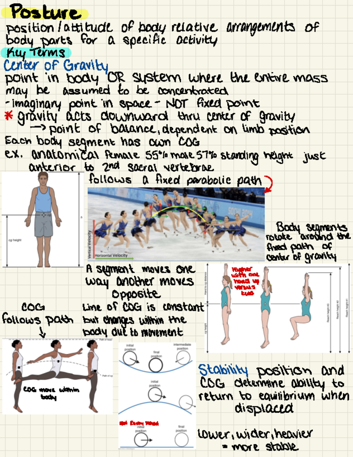 Posture - Images and descriptions of anatomy and how the body moves ...