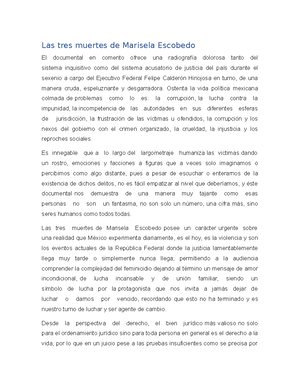 Ejemplos De Promoción Aclaración De Vista Incidente Y Apelación