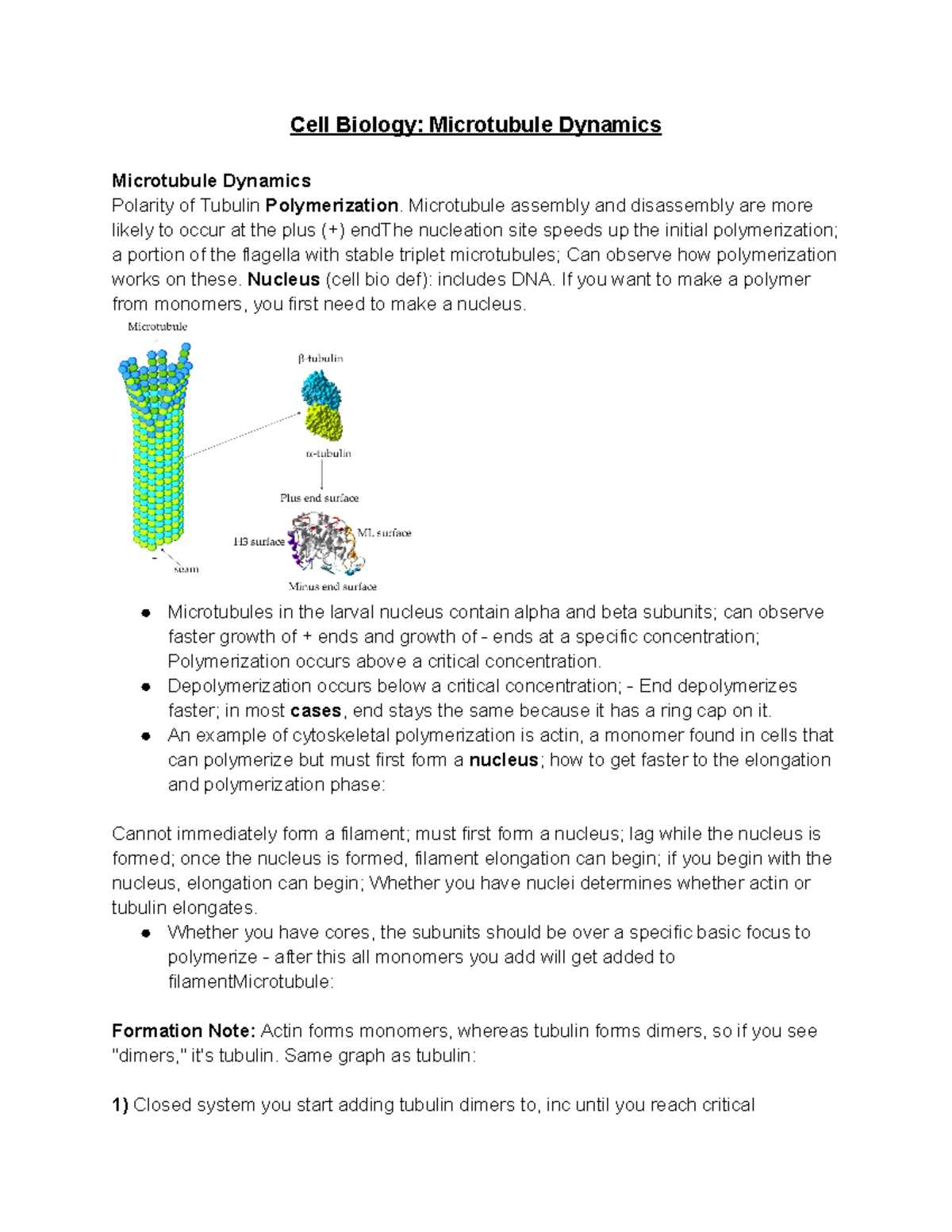 Cell Biology Microtubule Dynamics - Cell Biology: Microtubule Dynamics ...