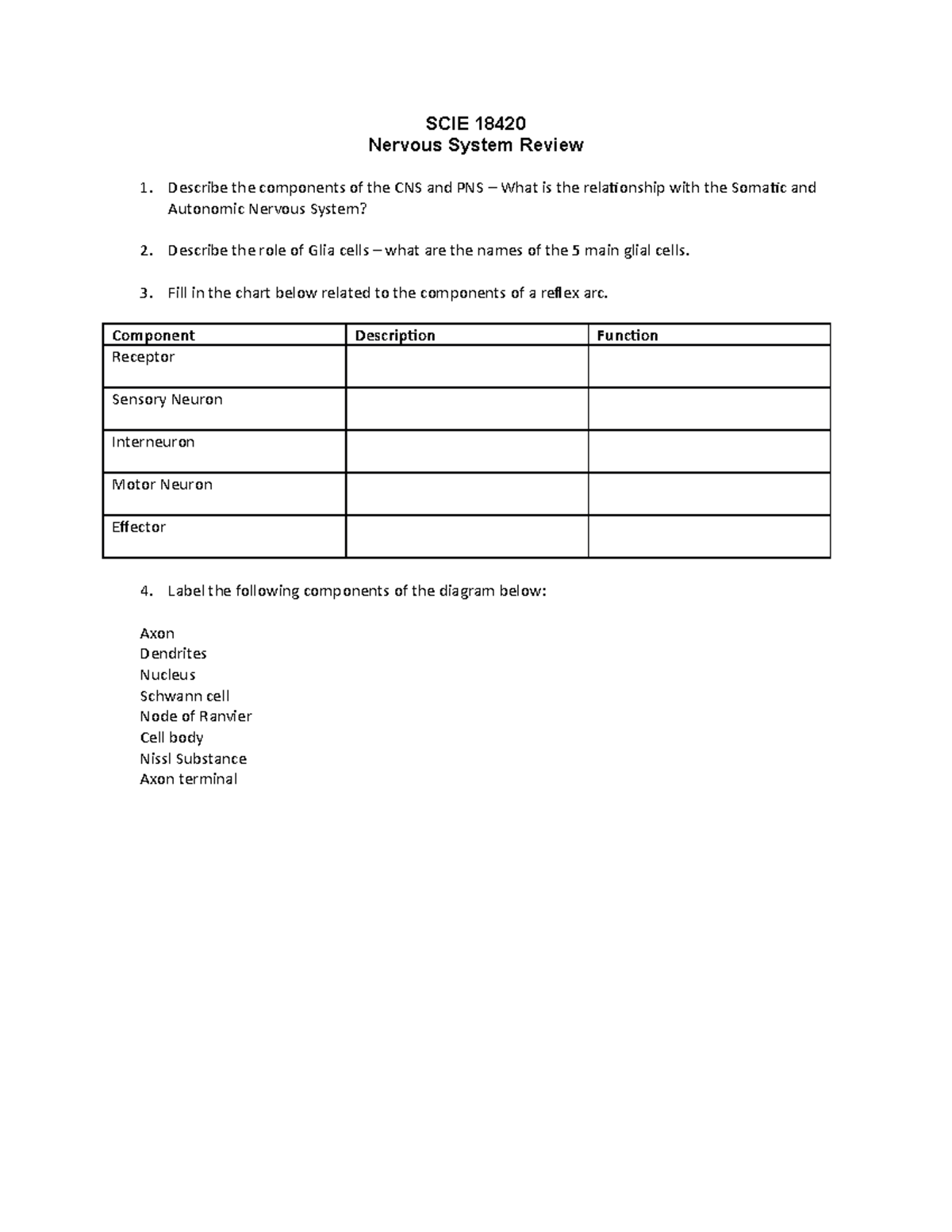 Module #7 Nervous System Review - SCIE 18420 Nervous System Review ...