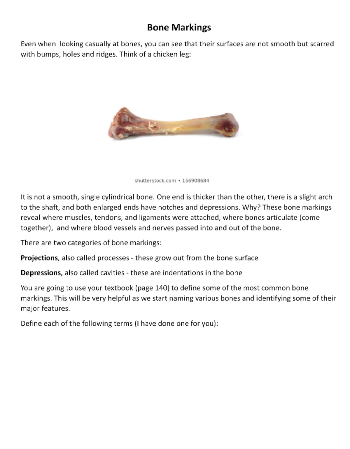 Bone markings review - BIO 2451 - Studocu