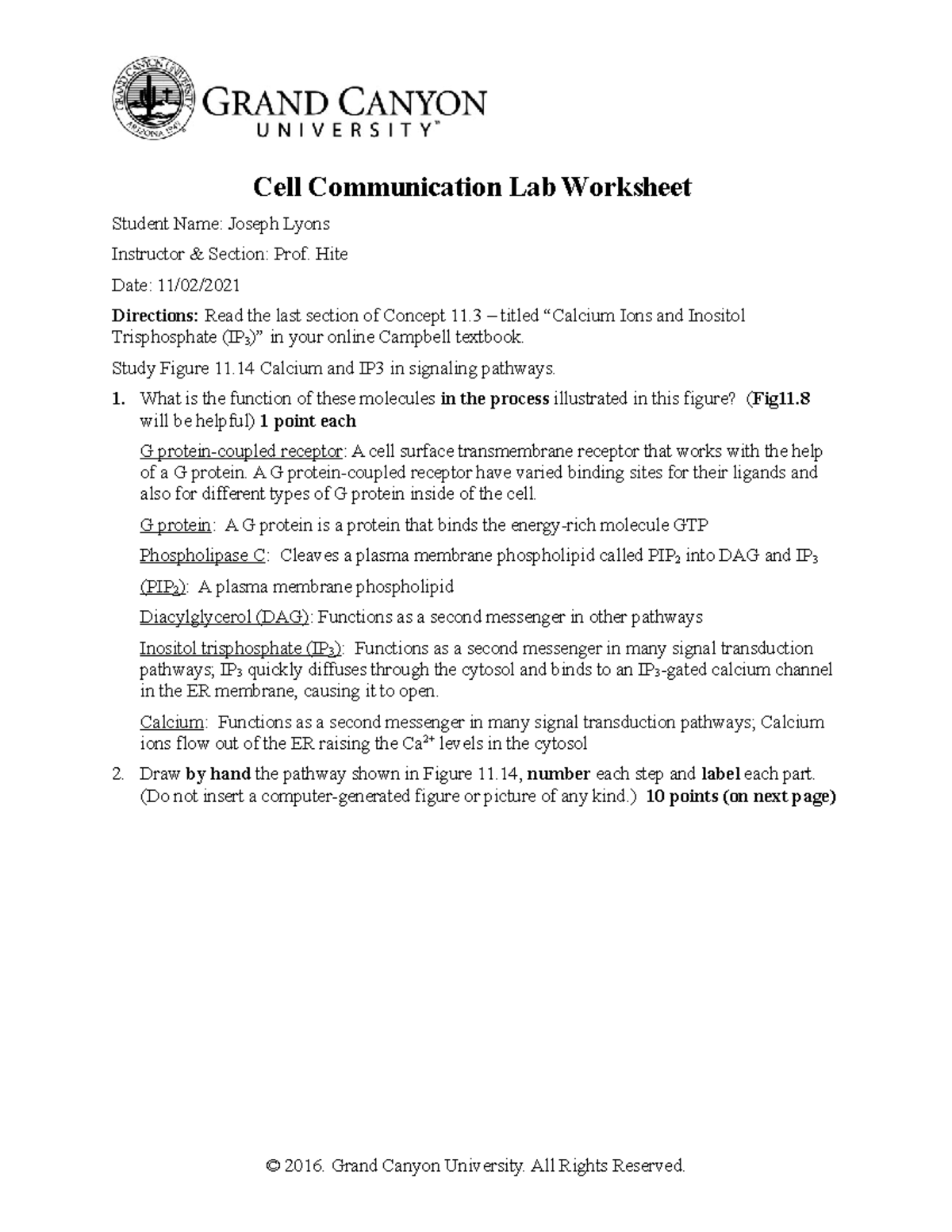 BIO-181L S20 Cell Communication Wksht - Cell Communication Lab ...