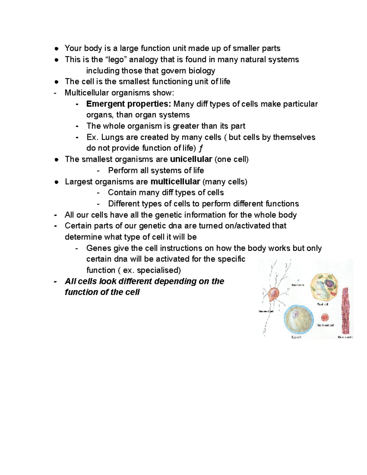 Cell theory review - Your body is a large function unit made up of ...