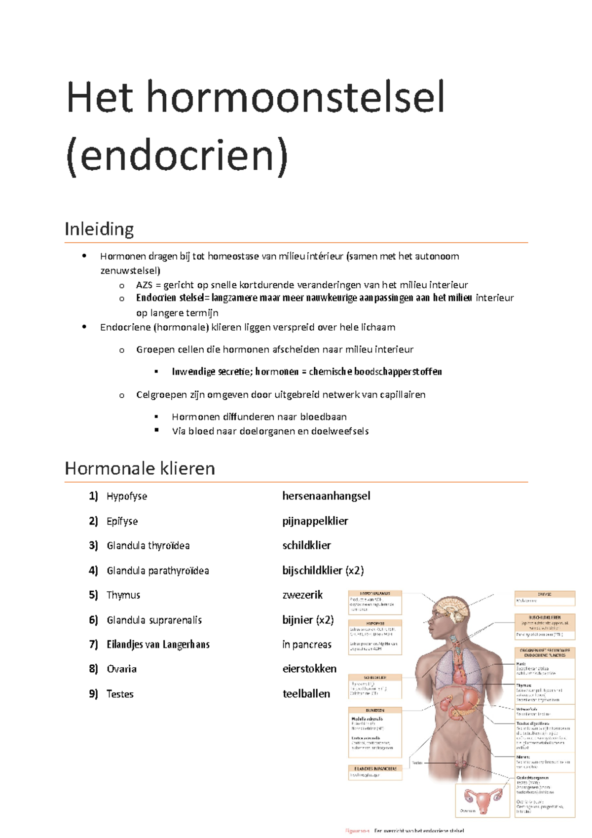 Het-hormoonstelsel - samenvatting het hormoonstelsel - Het ...