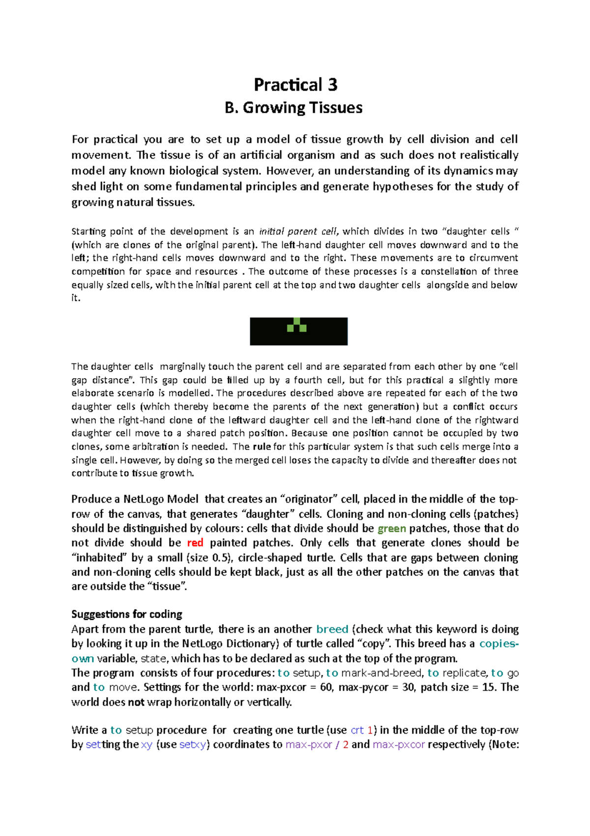 Description Practical 3B - Practical 3 B. Growing Tissues For practical you are to set up a ...