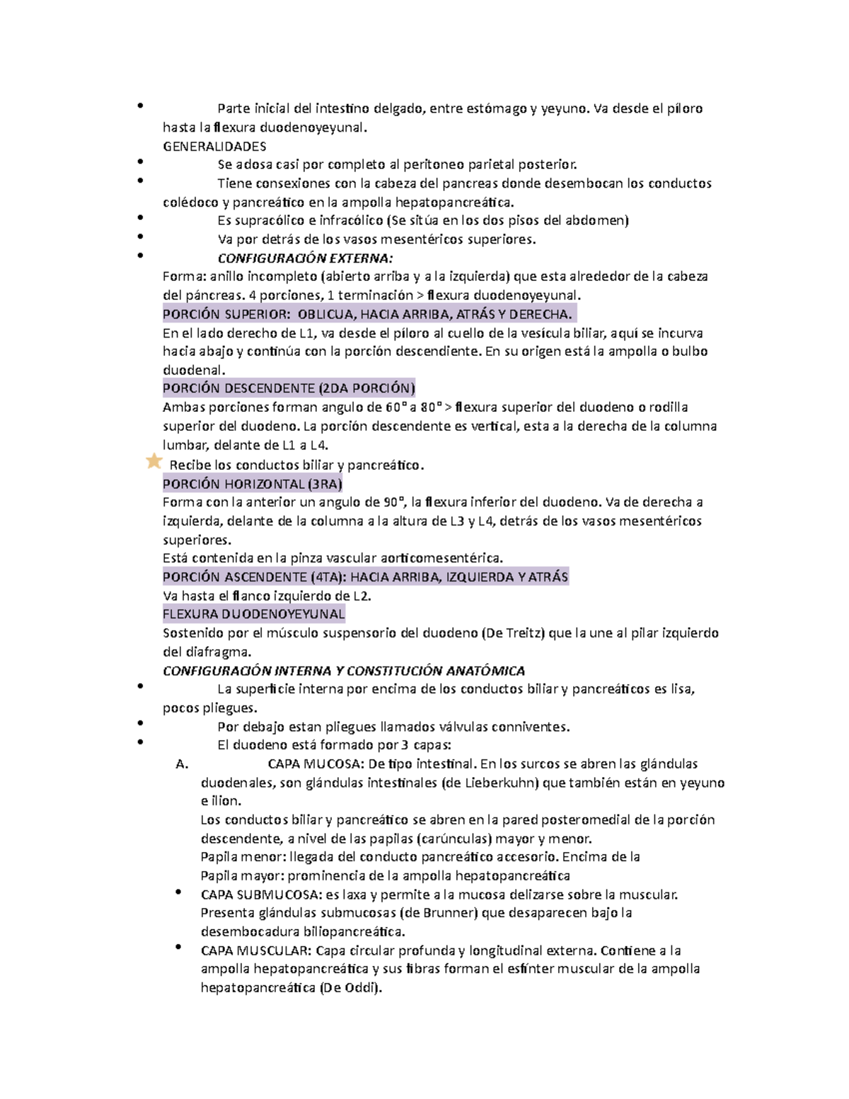 Anatomía - Duodeno - Parte inicial del intestino delgado, entre ...