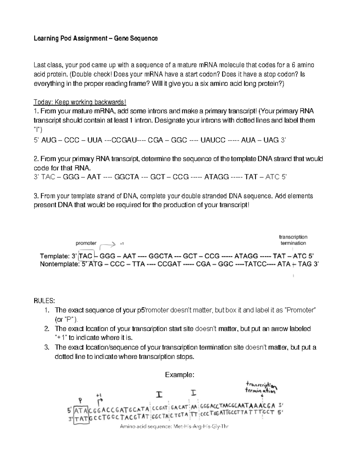 10-Learning Pod -Gene Sequence - Learning Pod Assignment – Gene ...