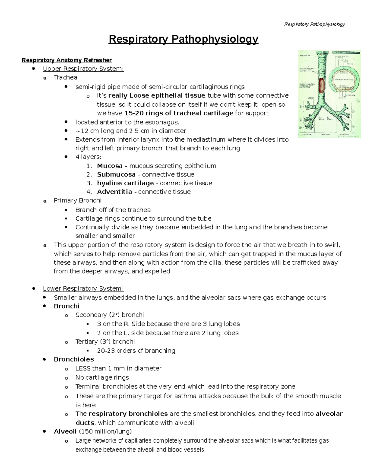 Respiratory - Notes Stu Docs - Respiratory Pathophysiology Respiratory ...