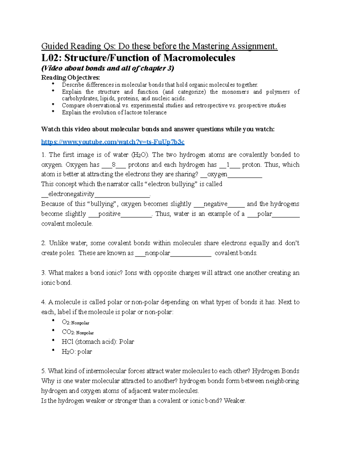 Lesson 2 GRQs Structure and Function of Macromolecules - Guided Reading ...