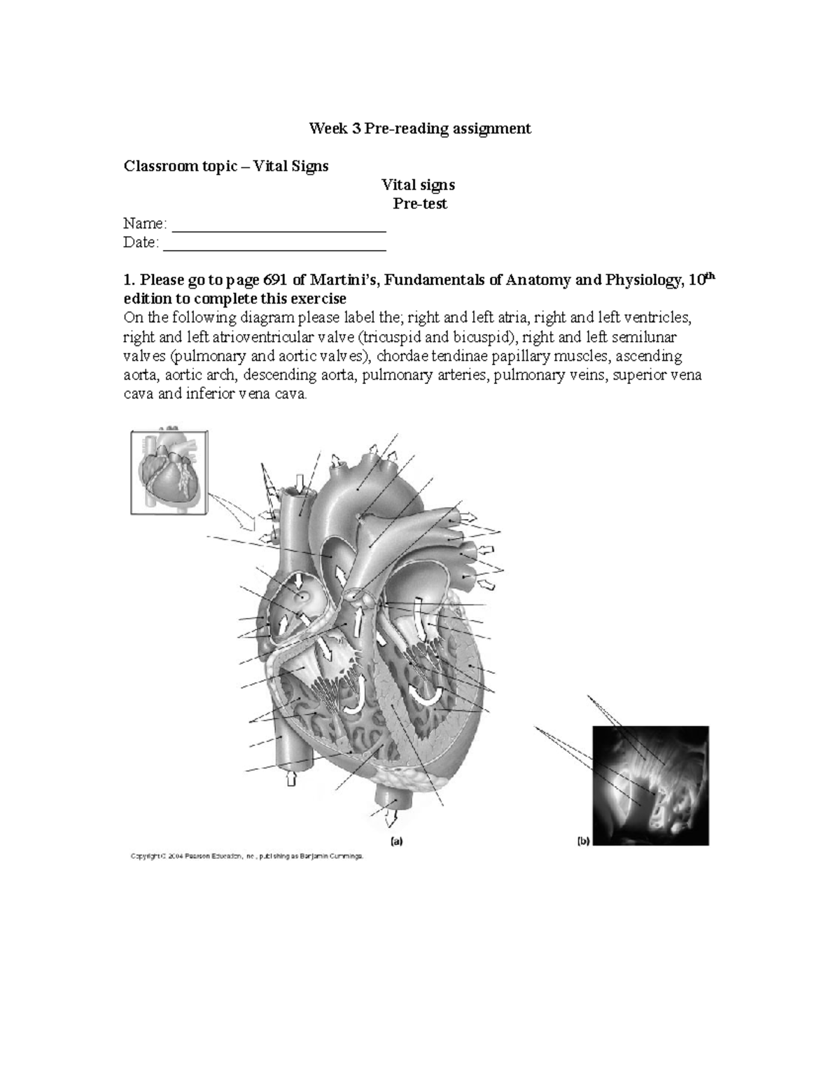 2019 0923 week4 prereading blood vessels - Week 3 Pre-reading ...
