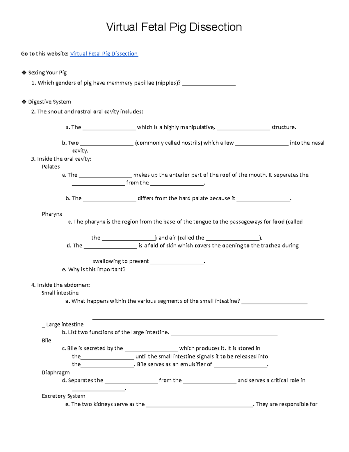 Fetal Pig- Virtual Dissection - Virtual Fetal Pig Dissection Go to this ...