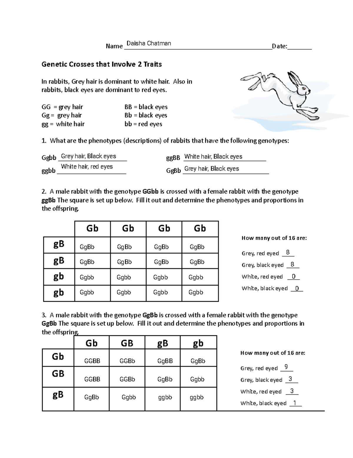 Practice Cross Two Traits - Name ...