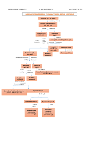 LAB. E2 Qualitative Analysis of Group 1 Cations - EXPERIMENT NO. 2 ...